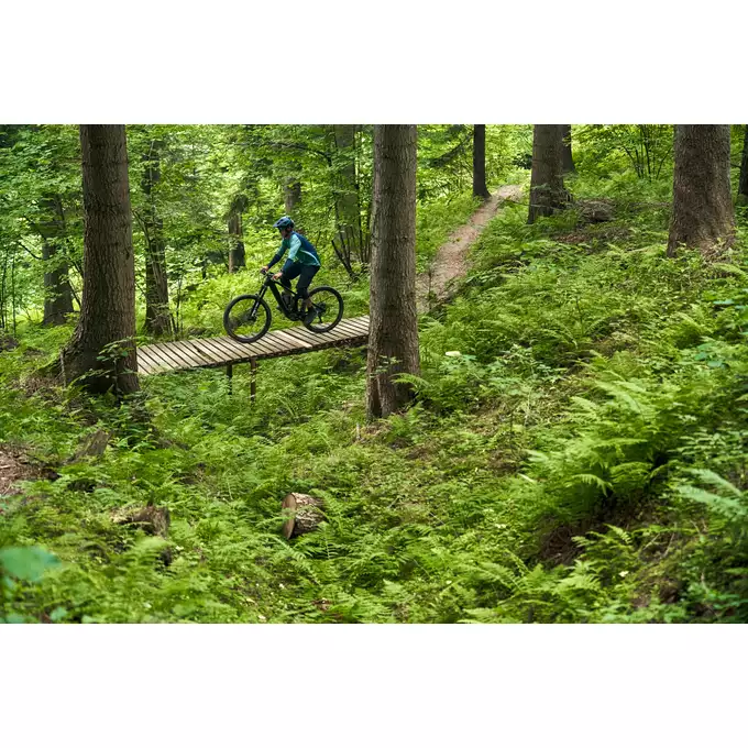 Dartmoor E-Thunderbird CF - Sklep rowerowy GoRide